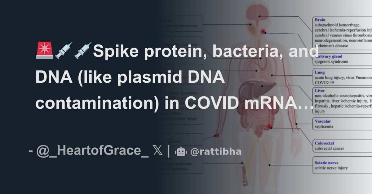 🚨💉💉Spike protein, bacteria, and DNA (like plasmid DNA contamination) in ...