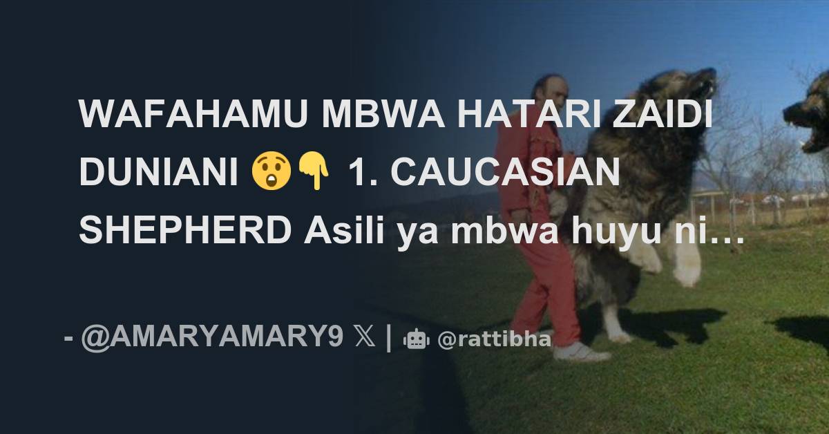 WAFAHAMU MBWA HATARI ZAIDI DUNIANI 😲👇 1. CAUCASIAN SHEPHERD Asili ya ...