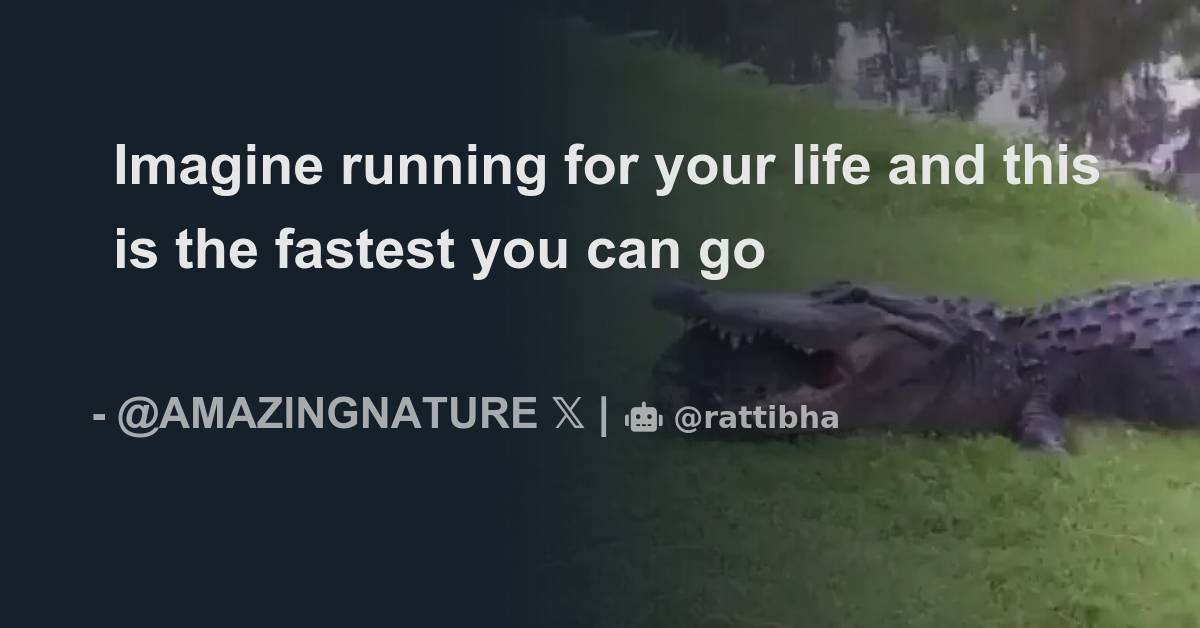 Imagine running for your life and this is the fastest you can go ...