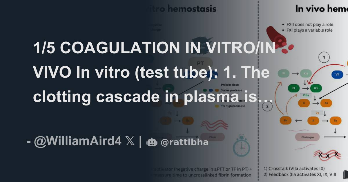 1/5 COAGULATION IN VITRO/IN VIVO In vitro (test tube): 1. The clotting ...