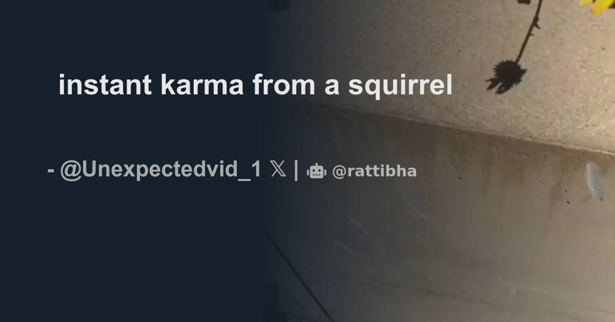instant karma from a squirrel - Thread from Karma Clips @Unexpectedvid ...