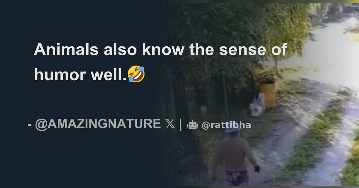 Animals also know the sense of humor well.🤣 - Thread from Nature is ...
