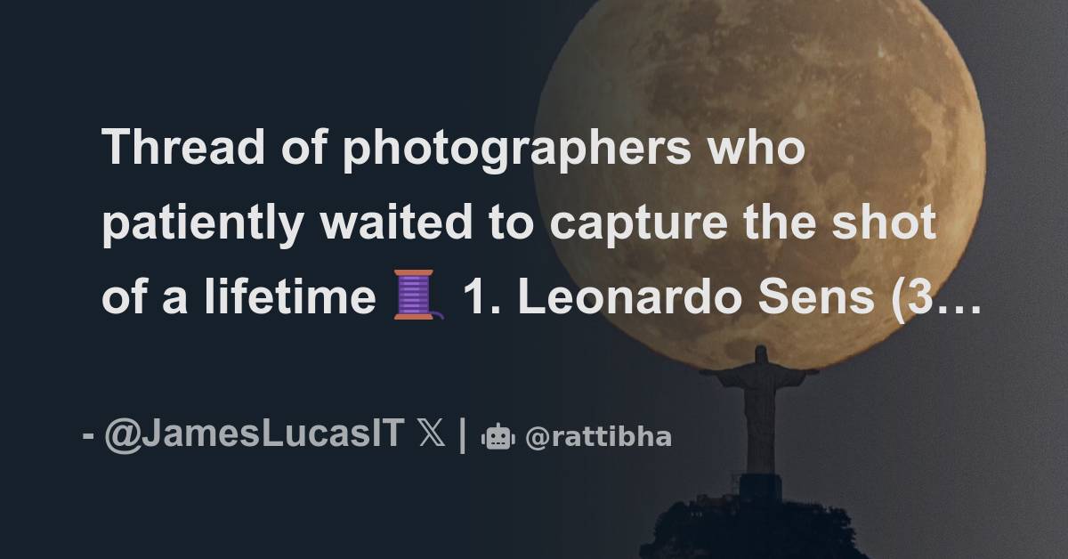 Thread of photographers who patiently waited to capture the shot of a lifetime 🧵 1. Leonardo ...