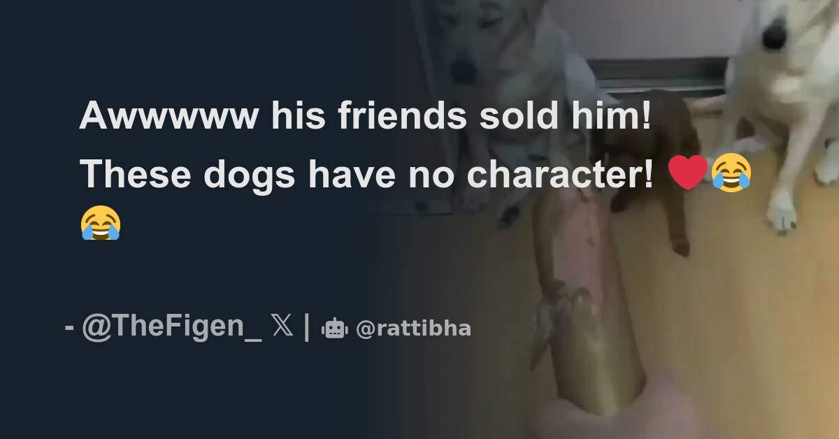 Awwwww his friends sold him! These dogs have no character! ️😂😂 ...