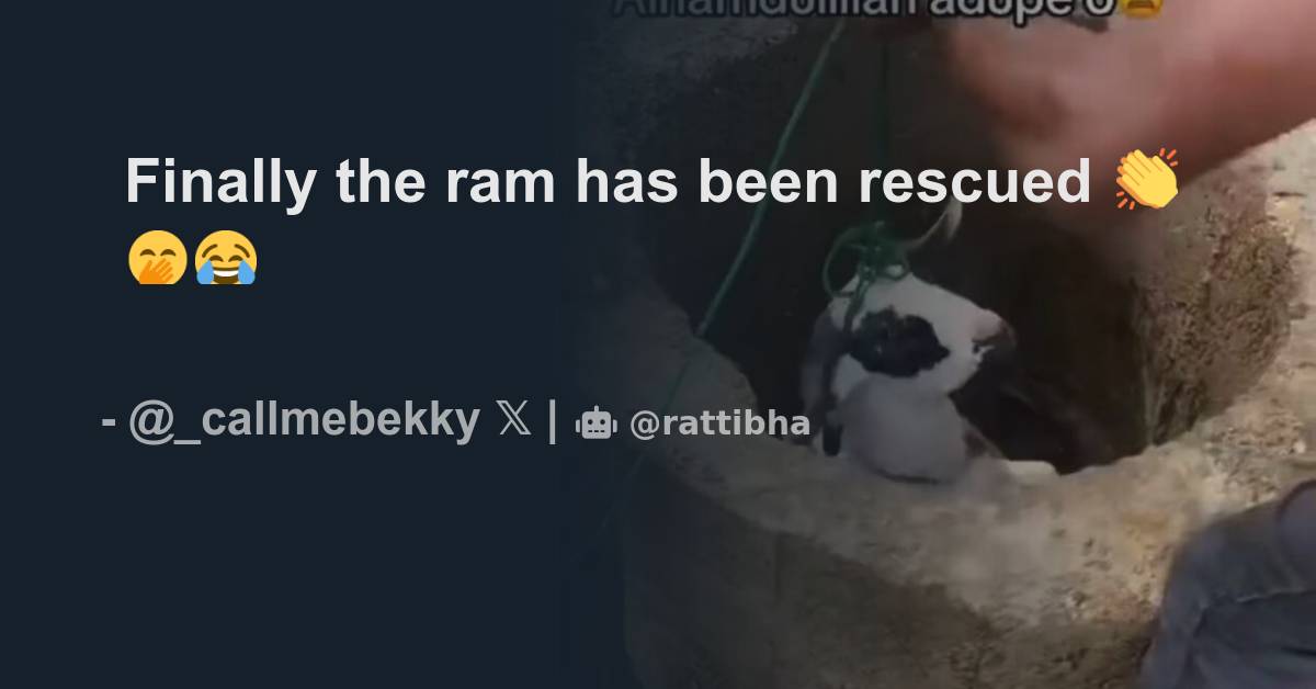 Finally the ram has been rescued 👏🤭😂 - المسلسل من Bukky ️ @_callmebekky ...