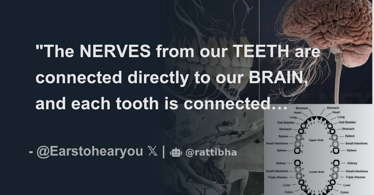 "The NERVES from our TEETH are connected directly to our BRAIN, and ...