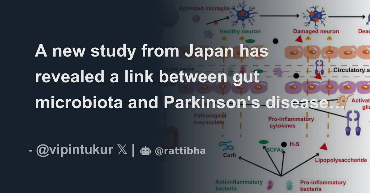A new study from Japan has revealed a link between gut microbiota and Parkinson's disease (PD ...