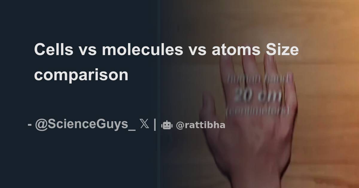 Cells vs molecules vs atoms Size comparison - Thread from Science @ScienceGuys_ - Rattibha