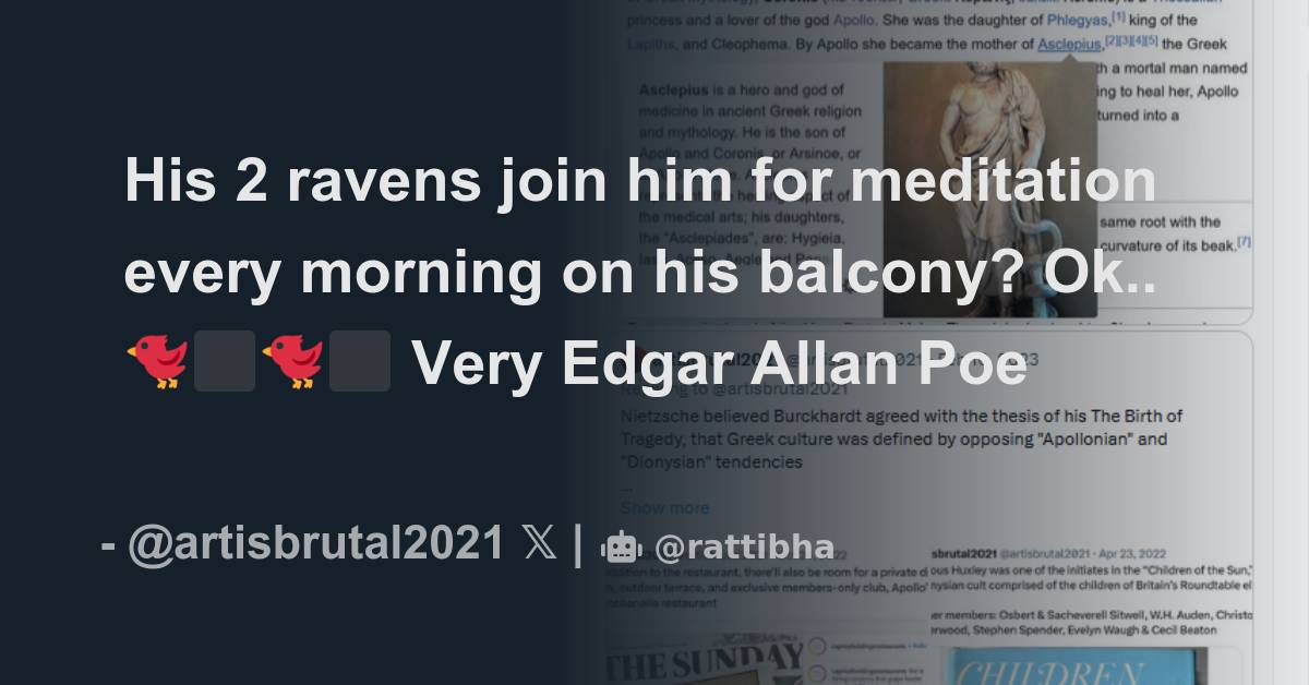 His 2 ravens join him for meditation every morning on his balcony? Ok..🐦‍⬛🐦‍⬛ - Thread from ...