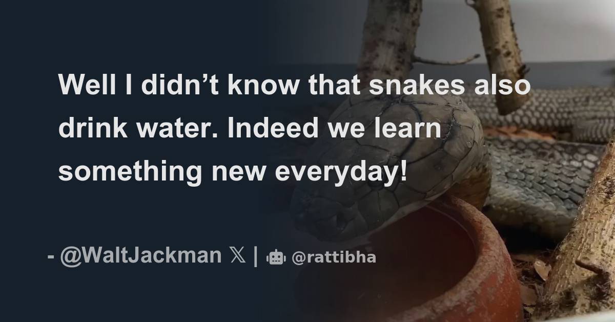Well I didn’t know that snakes also drink water. Indeed we learn ...