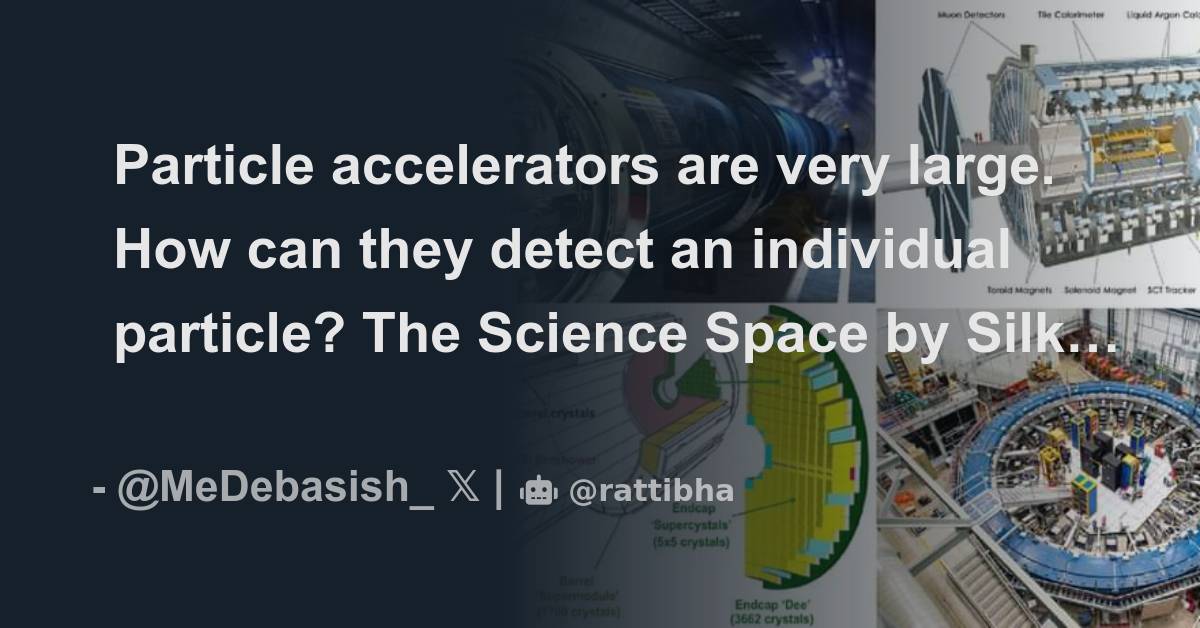 Particle accelerators are very large. How can they detect an individual ...