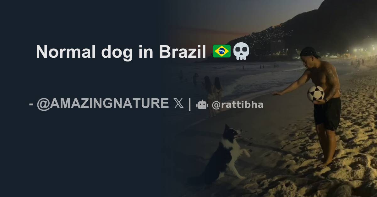 Normal dog in Brazil 🇧🇷💀 - المسلسل من Nature is Amazing ☘️ ...