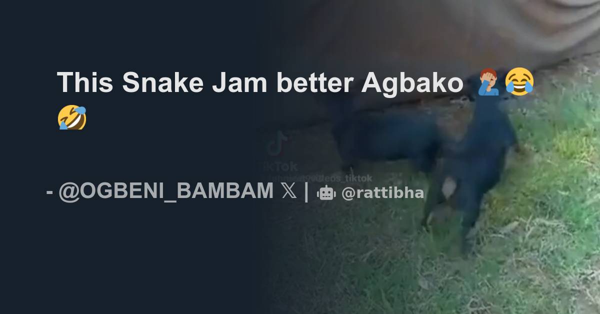 This Snake Jam better Agbako 🤦🏽‍♂️😂🤣 - Thread from BAMBAM @OGBENI ...