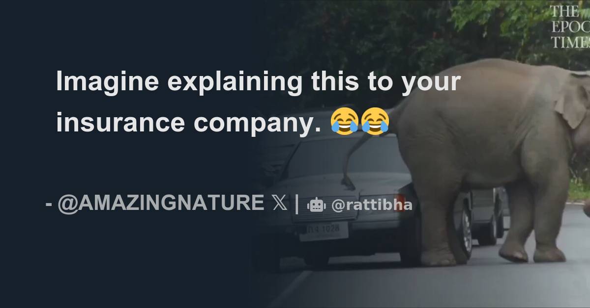 Imagine explaining this to your insurance company. 😂😂 - Thread from ...