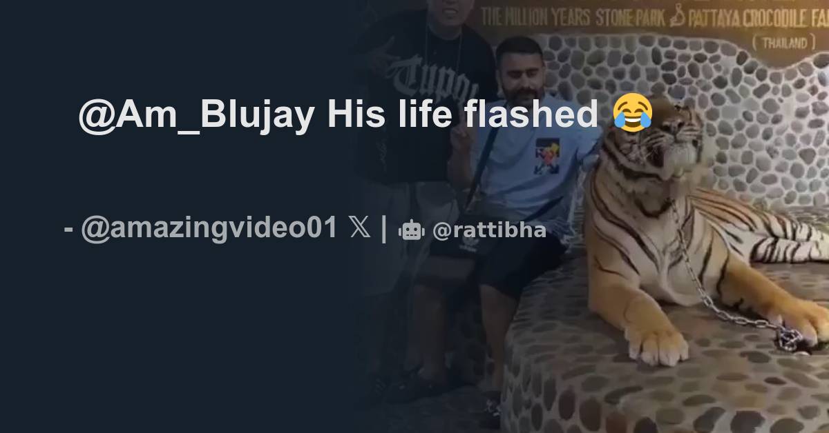 @Am_Blujay His life flashed 😂 - المسلسل من Amazing Video @amazingvideo01 - رتبها