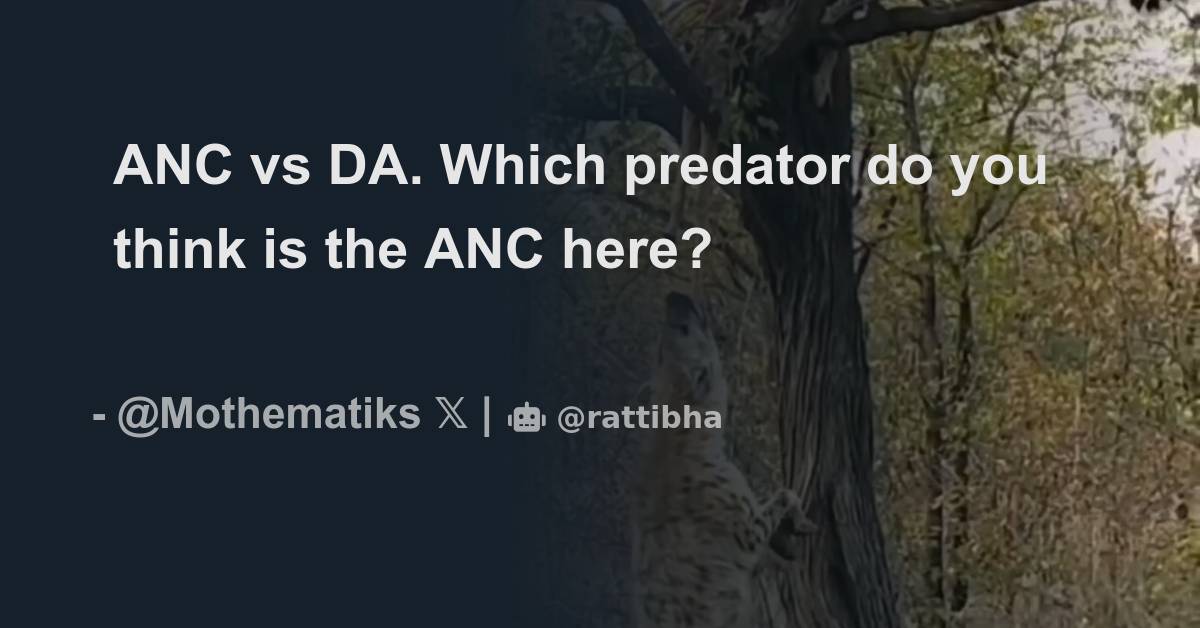 ANC vs DA. Which predator do you think is the ANC here? - Thread from Kgoshi Ya Lebowa ...