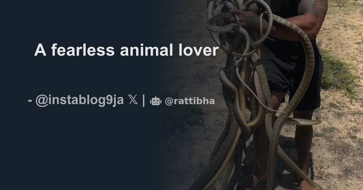 A fearless animal lover - المسلسل من Instablog9ja @instablog9ja - رتبها