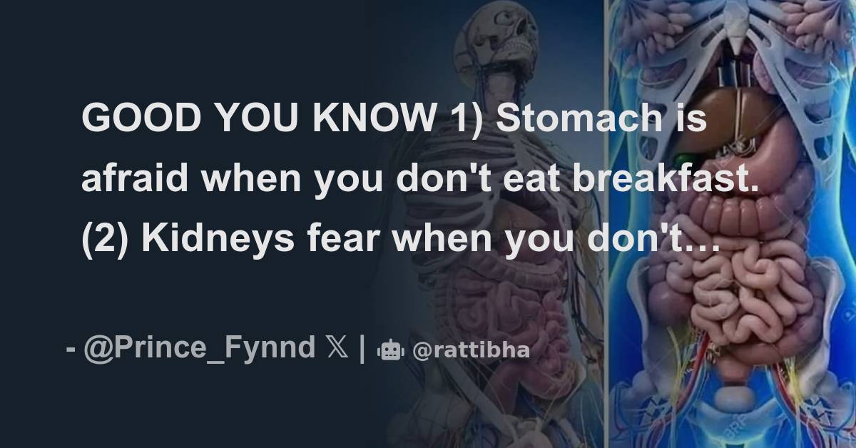 GOOD YOU KNOW 1) Stomach is afraid when you don't eat breakfast. (2) Kidneys fear when you don't ...