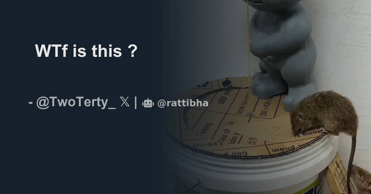 WTf is this ? - المسلسل من TWO TERTY @TwoTerty_ - رتبها