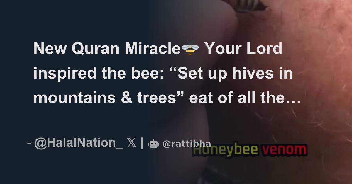 New Quran Miracle🐝 Your Lord inspired the bee: “Set up hives in ...