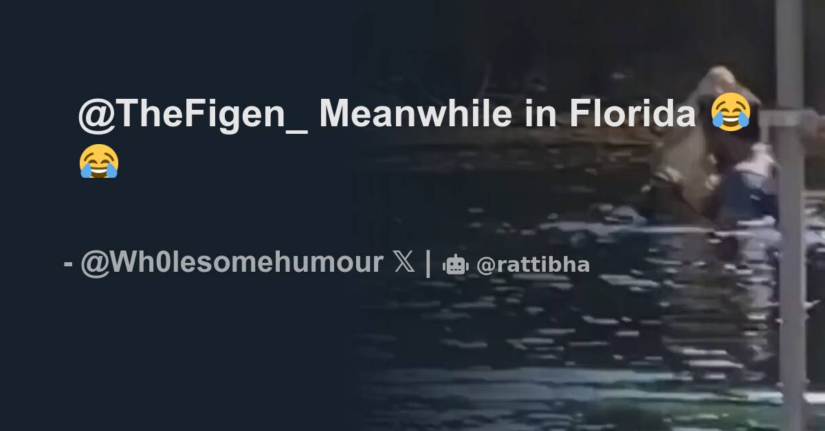 @TheFigen_ Meanwhile in Florida 😂😂 - Thread from Wholesome humour ...