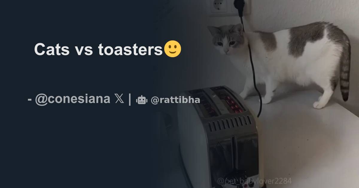 Cats vs toasters🙂 - Thread from Funny @conesiana - Rattibha
