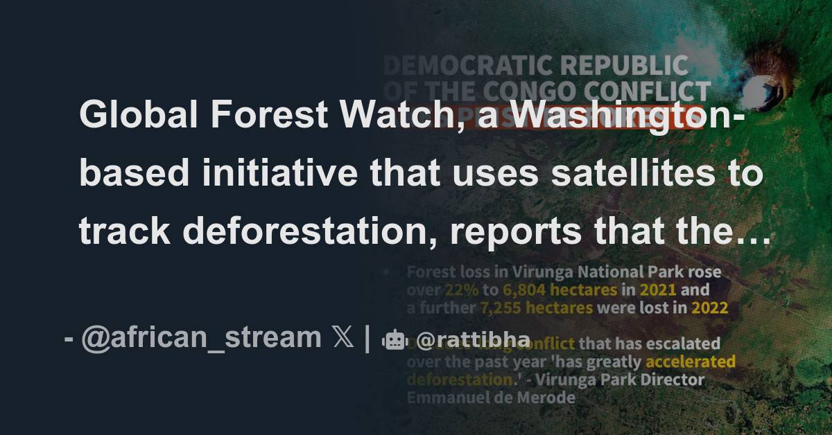 Global Forest Watch, a Washington-based initiative that uses satellites ...