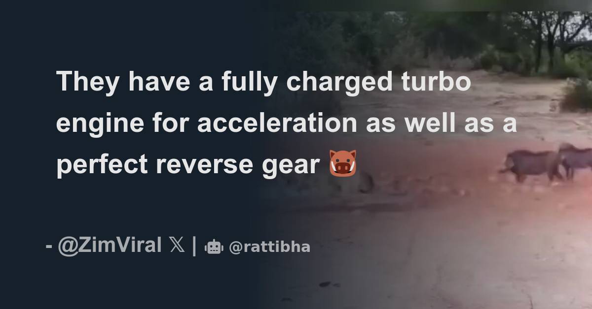 They have a fully charged turbo engine for acceleration as well as a ...