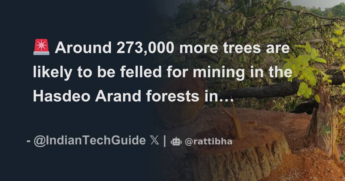 🚨 Around 273,000 more trees are likely to be felled for mining in the ...