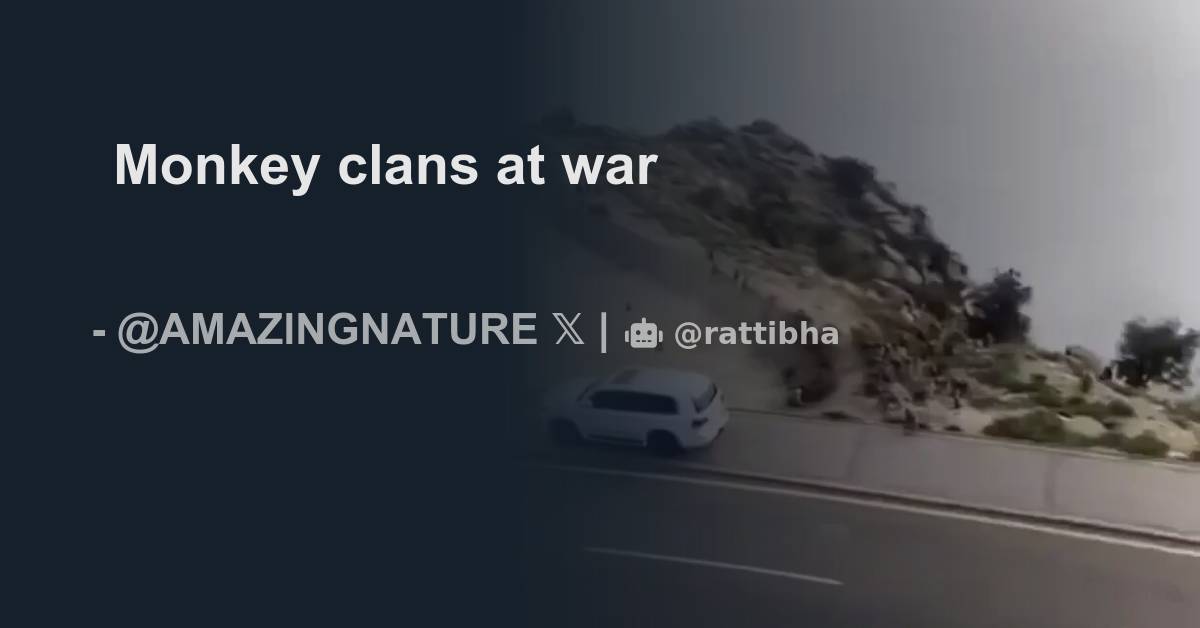 Monkey clans at war - المسلسل من Nature is Amazing ☘️ @AMAZlNGNATURE ...