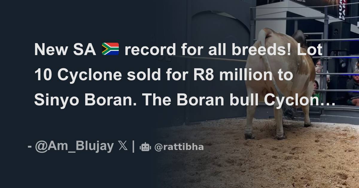 New SA 🇿🇦 record for all breeds! Lot 10 Cyclone sold for R8 million to Sinyo Boran. - المسلسل من ...
