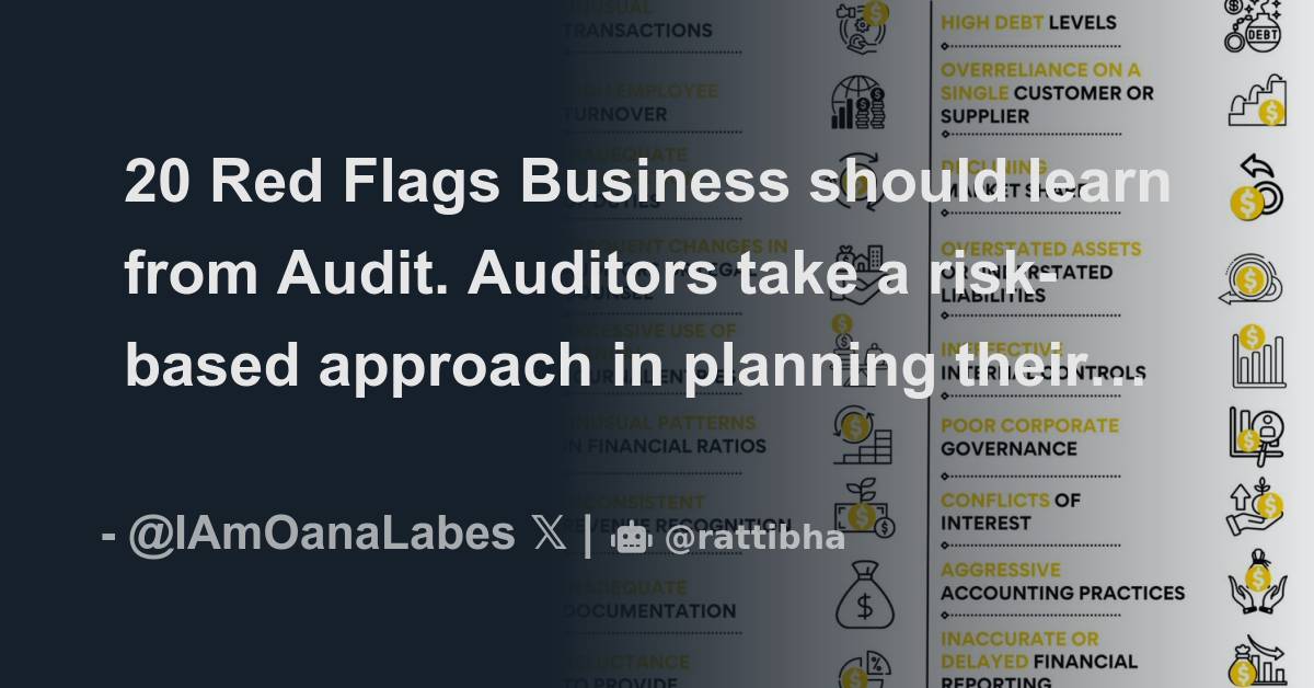 20 Red Flags Business should learn from Audit. - Thread from Oana Labes ...