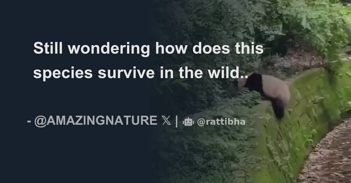 Still wondering how does this species survive in the wild.. - Thread ...