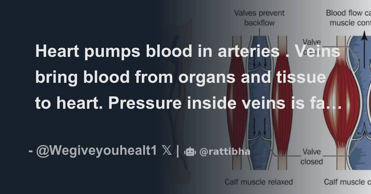 Heart pumps blood in arteries . Veins bring blood from organs and ...