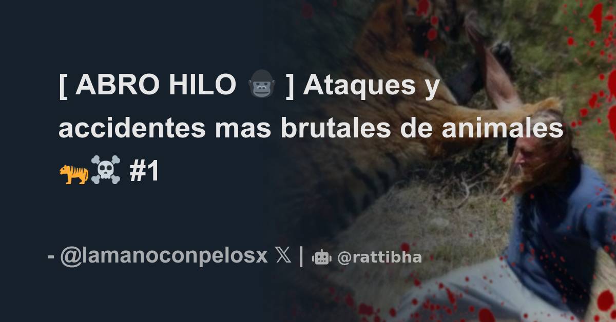 [ ABRO HILO 🦍 ] Ataques y accidentes mas brutales de animales 🐅☠️ ...