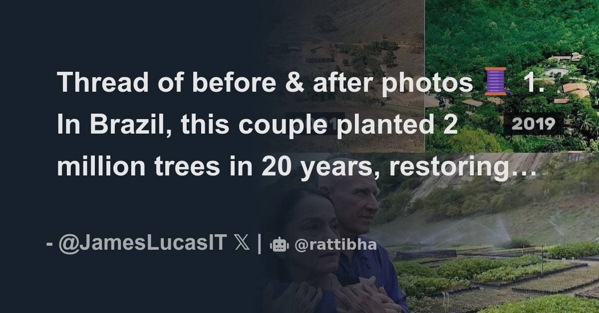 Thread of before & after photos 🧵 1. In Brazil, this couple planted 2 ...