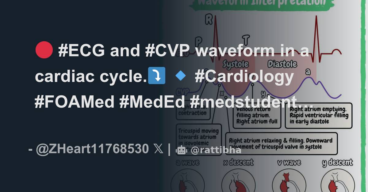 🔴 #ECG and #CVP waveform in a cardiac cycle.⤵️ 🔹 #Cardiology #FOAMed # ...
