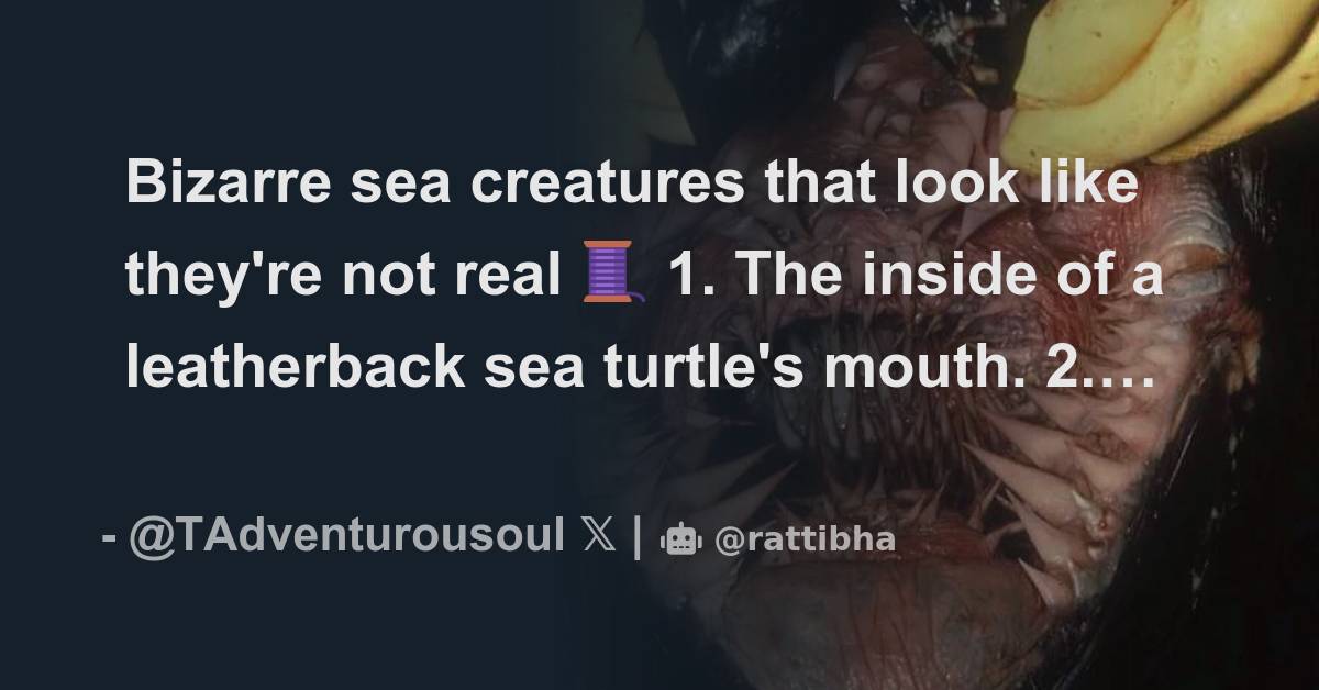 Bizarre sea creatures that look like they're not real 🧵 1. The inside ...
