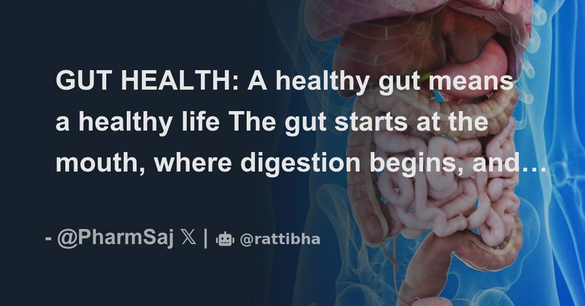 GUT HEALTH: A healthy gut means a healthy life The gut starts at the ...