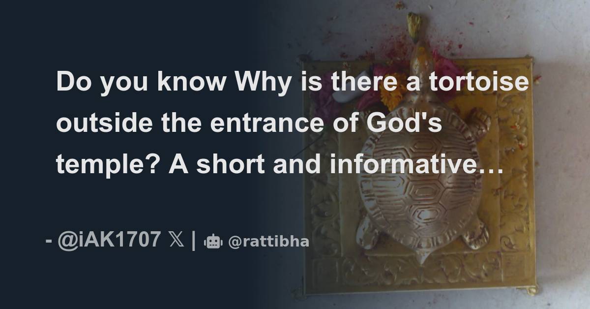 Do you know Why is there a tortoise outside the entrance of God's ...