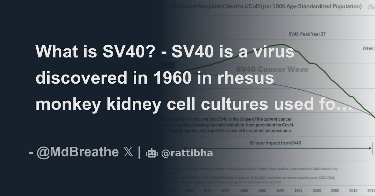 What is SV40? - SV40 is a virus discovered in 1960 in rhesus monkey ...