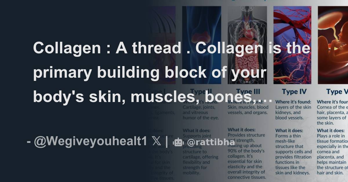 Collagen : A thread . Collagen is the primary building block of your ...