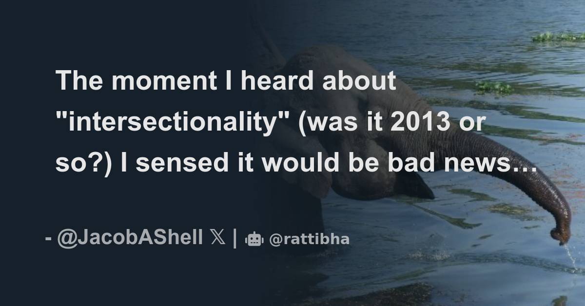 The moment I heard about "intersectionality" (was it 2013 or so?) I ...