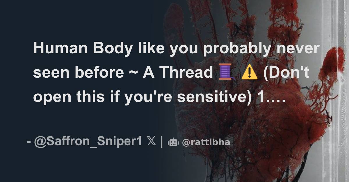 Human Body like you probably never seen before ~ A Thread 🧵 ⚠️ (Don't ...