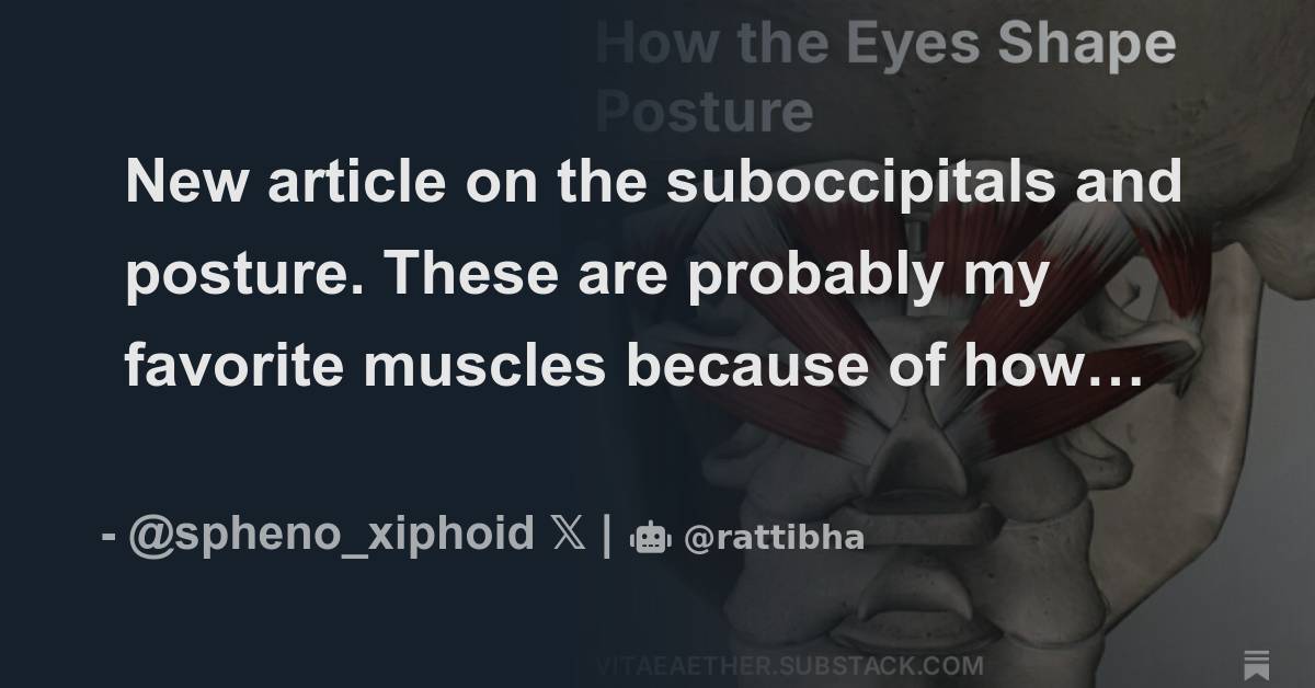 New article on the suboccipitals and posture. These are probably my ...