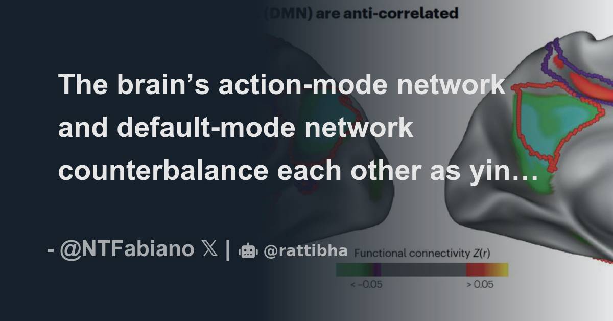 The brain’s action-mode network and default-mode network counterbalance ...